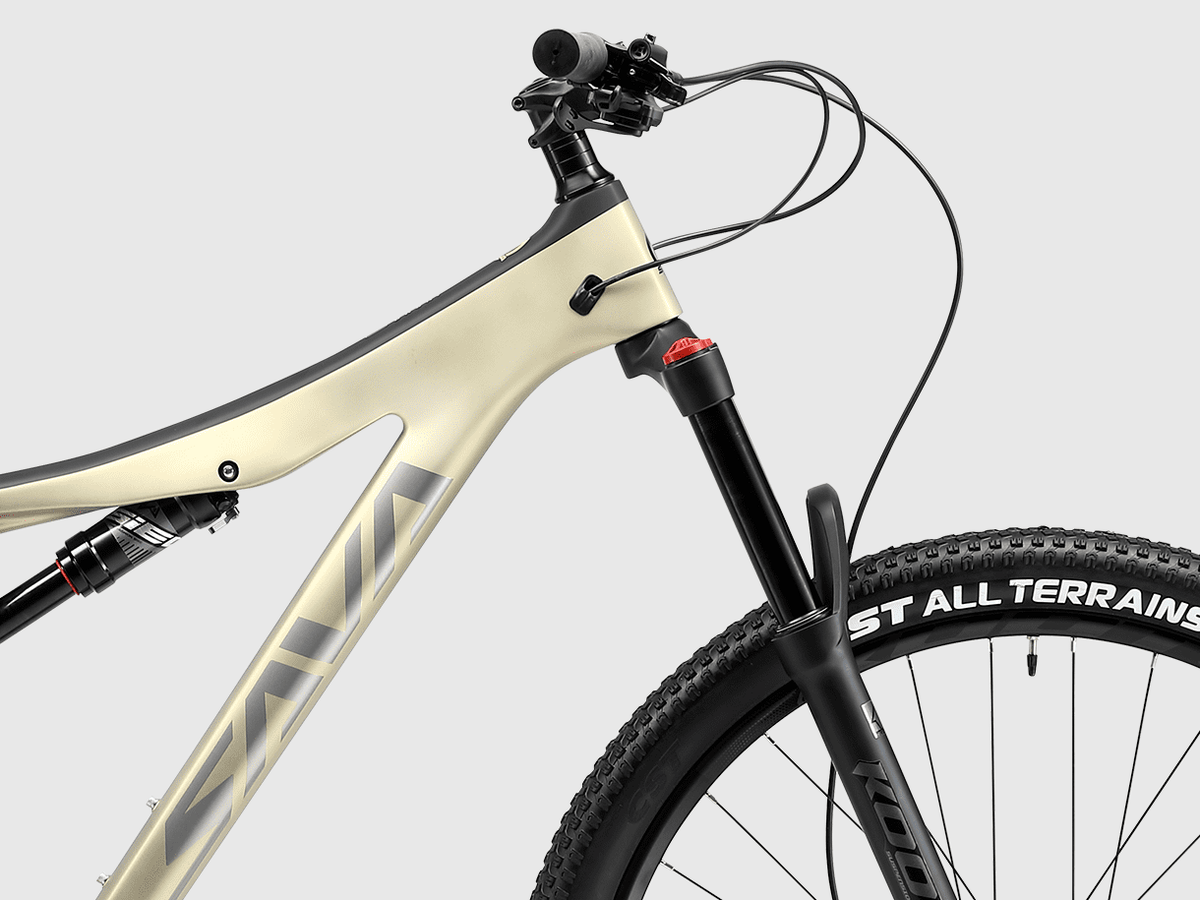 Bruni 29 8.0– sava-bicycles